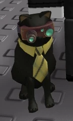 Doctor Meow | Vuga Wiki | Fandom