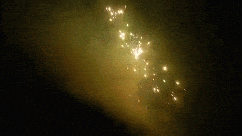 Fireflies At Night Gif