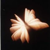 Palm | Pyrosource Wiki | Fandom