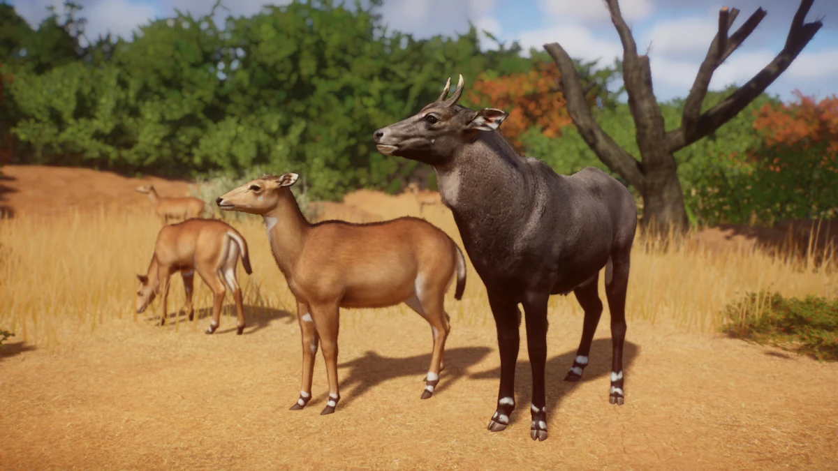 Nilgai (Narwhaler) | Planet Zoo Modding Library Wiki | Fandom