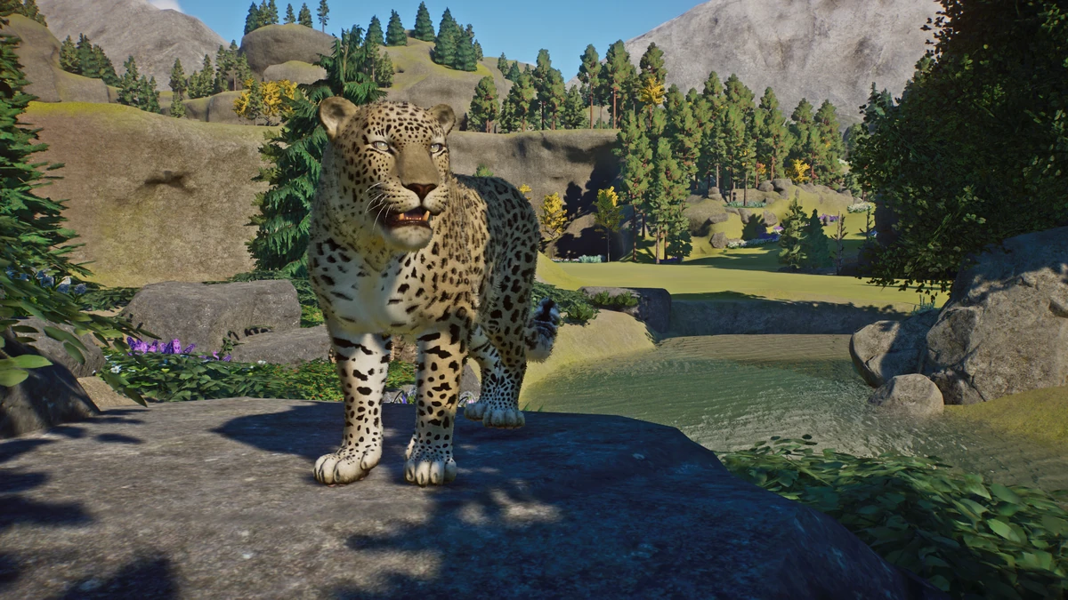 Persian Leopard (Havok1199) | Planet Zoo Modding Library Wiki | Fandom