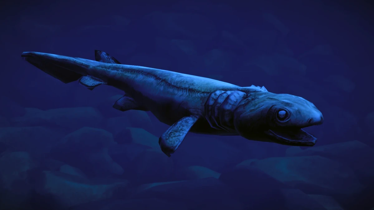Frilled Shark (Buffzoo) | Planet Zoo Modding Library Wiki | Fandom