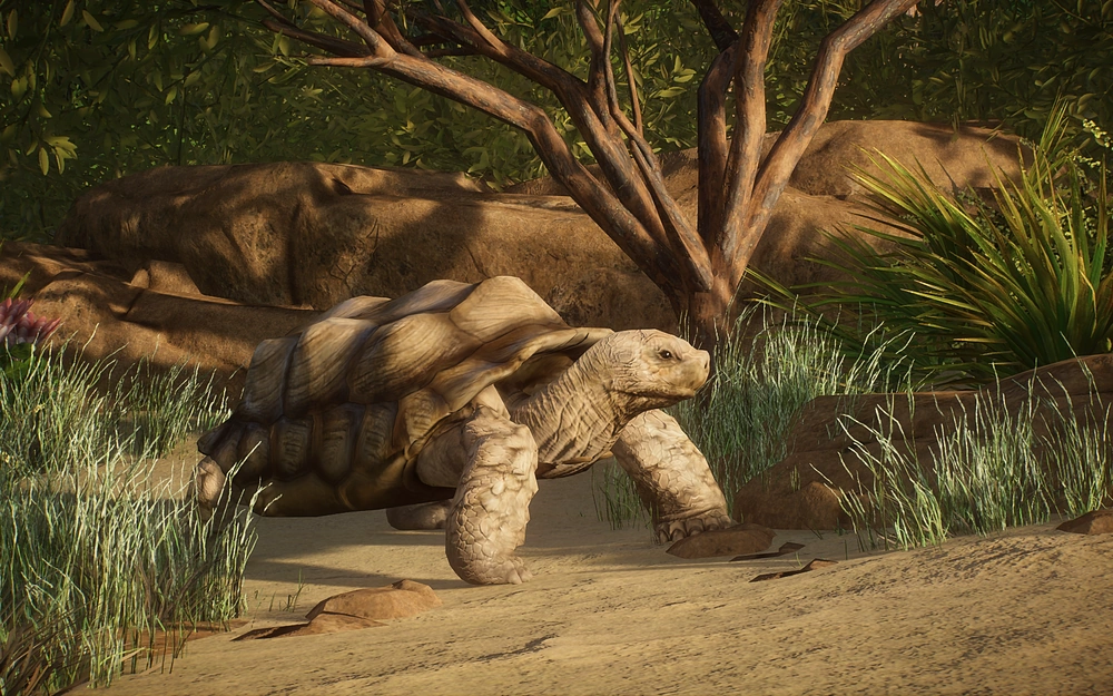 African Spurred Tortoise (NicholasLionRider) | Planet Zoo Modding Library Wiki | Fandom