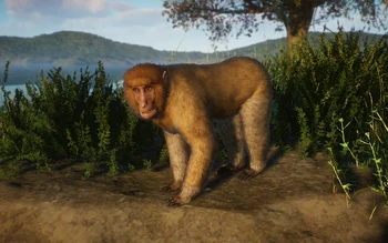 Barbary Macaque (GiornoPizza) | Planet Zoo Modding Library Wiki | Fandom
