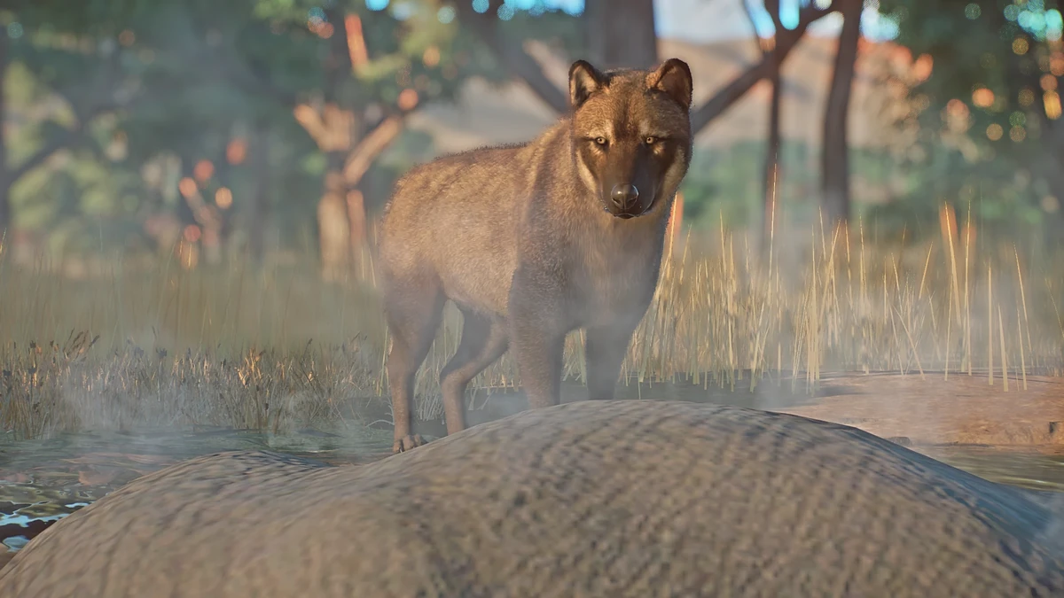 Dire Wolf (Gabboi) | Planet Zoo Modding Library Wiki | Fandom