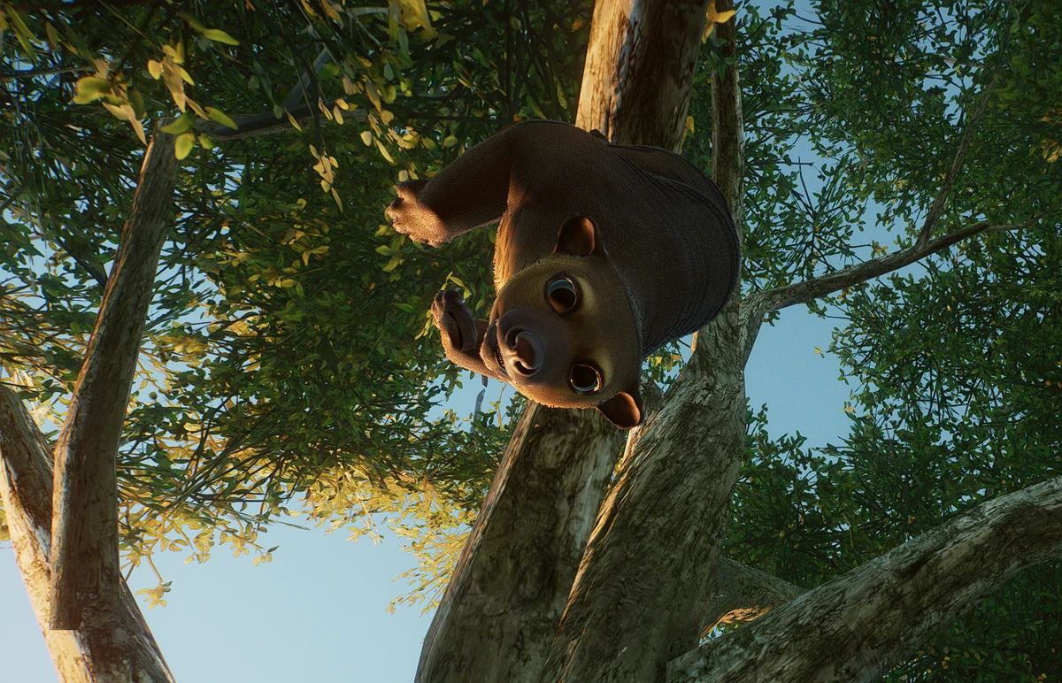 Kinkajou (Gabboi) | Planet Zoo Modding Library Wiki | Fandom