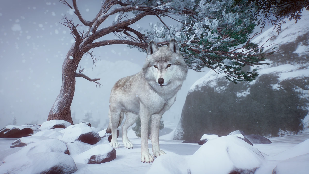 Tundra Wolf (Havok1199) | Planet Zoo Modding Library Wiki | Fandom