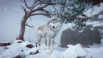 Tundra Wolf (Havok1199) | Planet Zoo Modding Library Wiki | Fandom