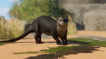 Sardinian Giant Otter (Narwhaler) | Planet Zoo Modding Library Wiki | Fandom