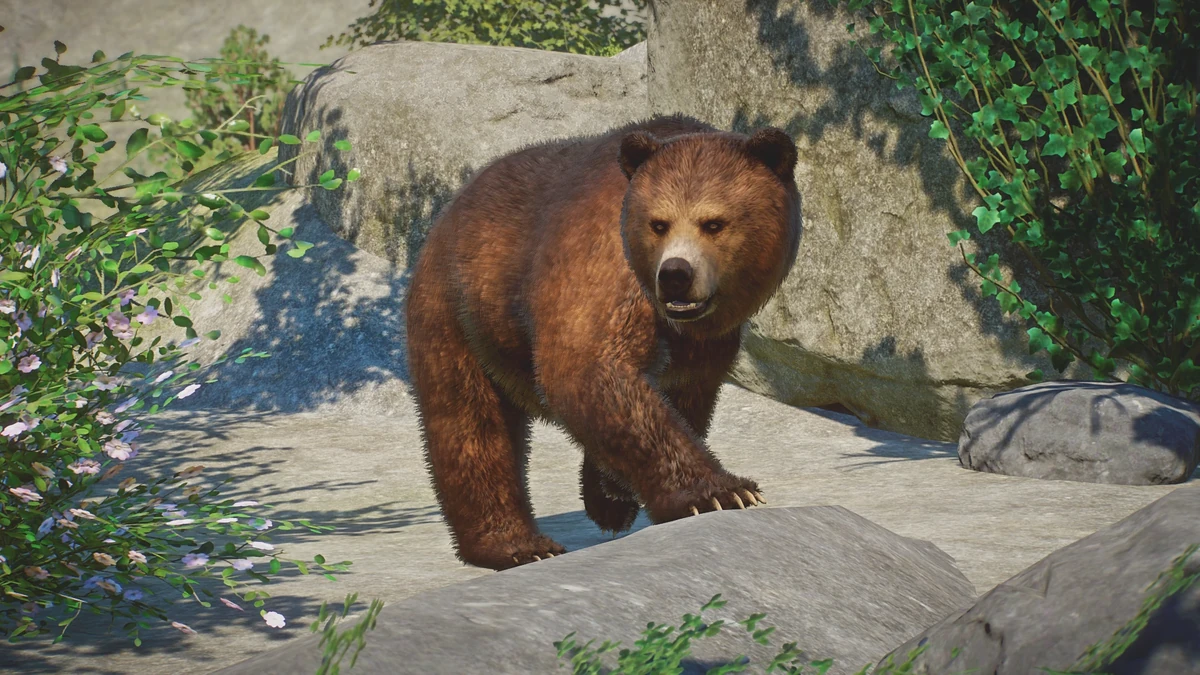 Atlas Bear (Gabboi) | Planet Zoo Modding Library Wiki | Fandom