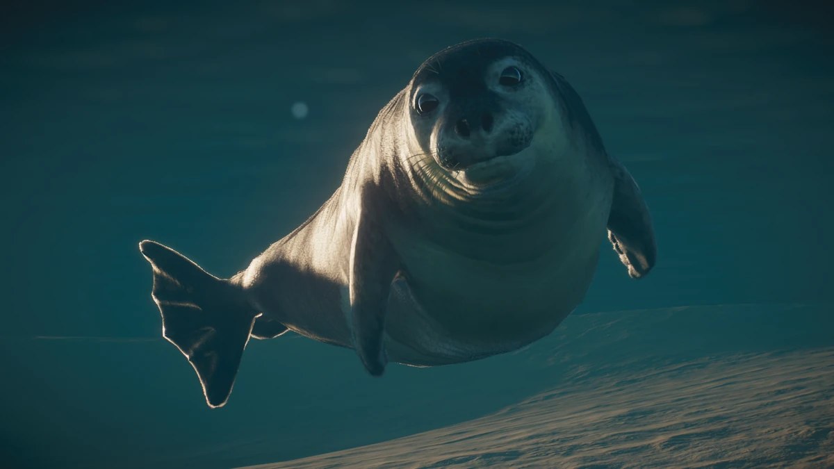 Category:Mediterranean Sea Species | Planet Zoo Modding Library Wiki | Fandom