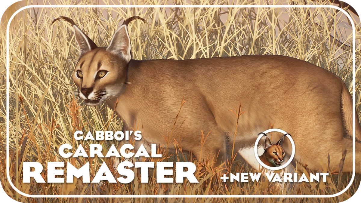 Caracal Remaster (Gabboi) | Planet Zoo Modding Library Wiki | Fandom