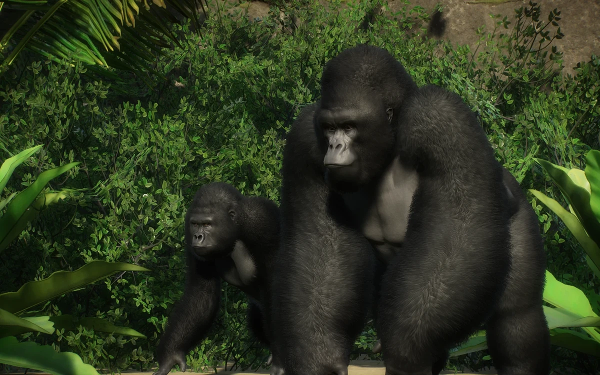 Mountain Gorilla (NicholasLionRider) | Planet Zoo Modding Library Wiki | Fandom
