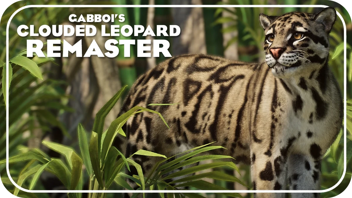 Clouded Leopard Remaster (Gabboi) | Planet Zoo Modding Library Wiki | Fandom