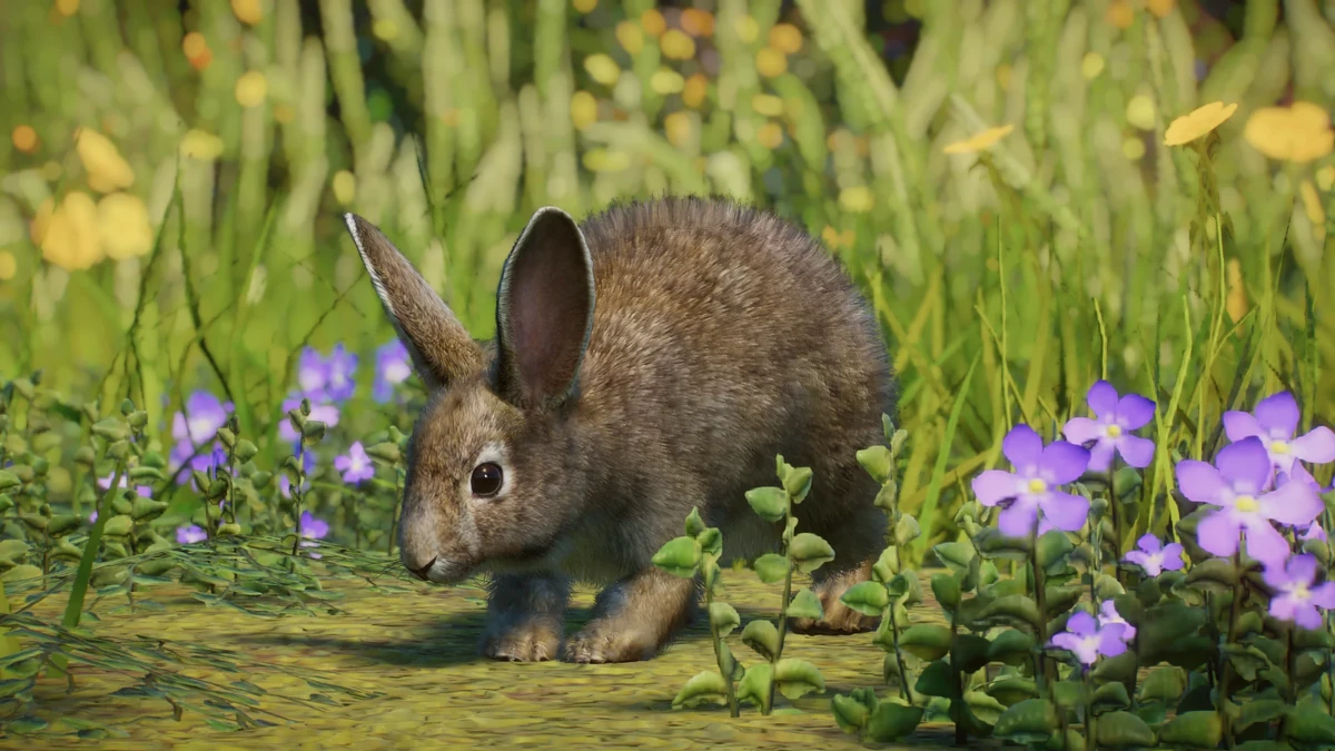 European Rabbit (Narwhaler) | Planet Zoo Modding Library Wiki | Fandom