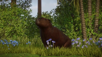 Lesser Capybara (Narwhaler) | Planet Zoo Modding Library Wiki | Fandom