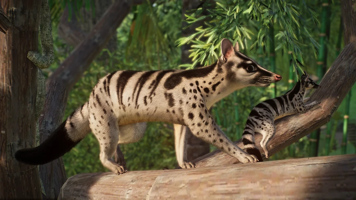 Owston's Palm Civet (Gabboi) | Planet Zoo Modding Library Wiki | Fandom
