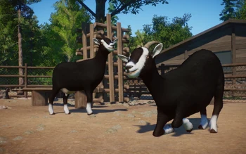 British Alpine Goat (LeafProductions) | Planet Zoo Modding Library Wiki | Fandom