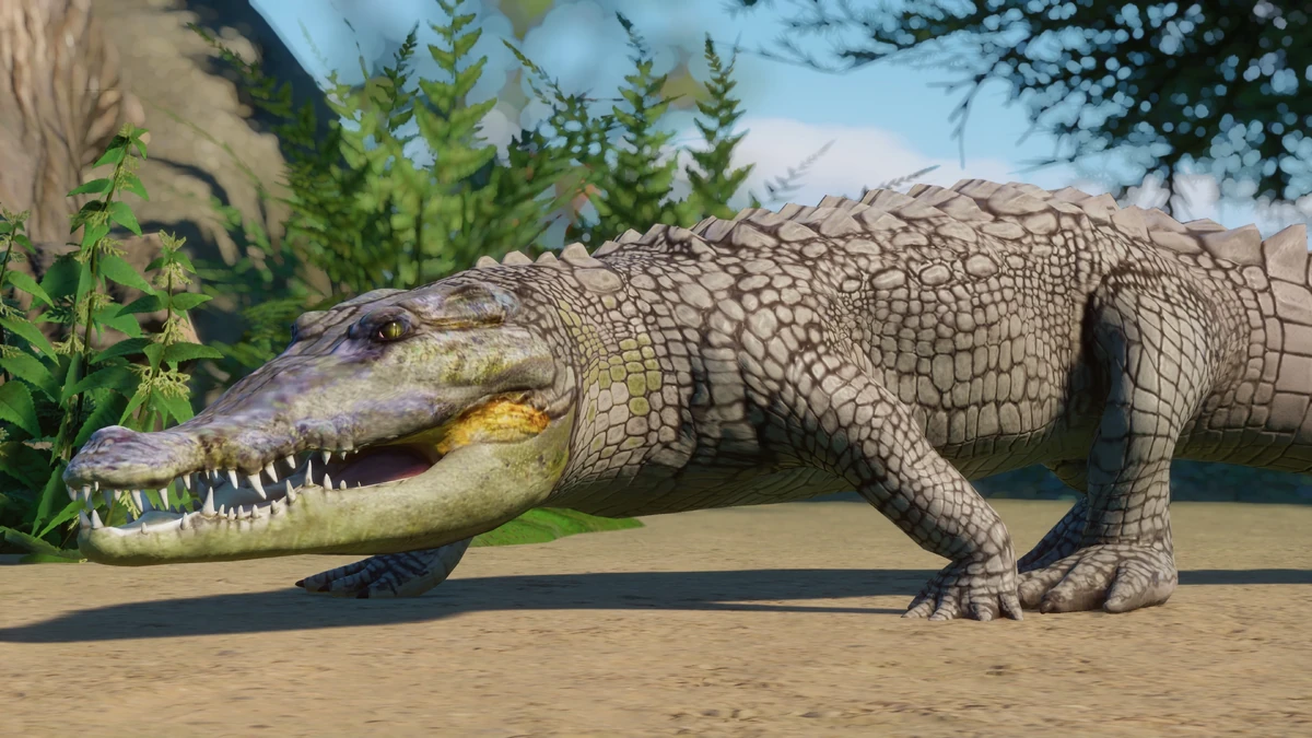 American Crocodile (Incognewto) | Planet Zoo Modding Library Wiki | Fandom