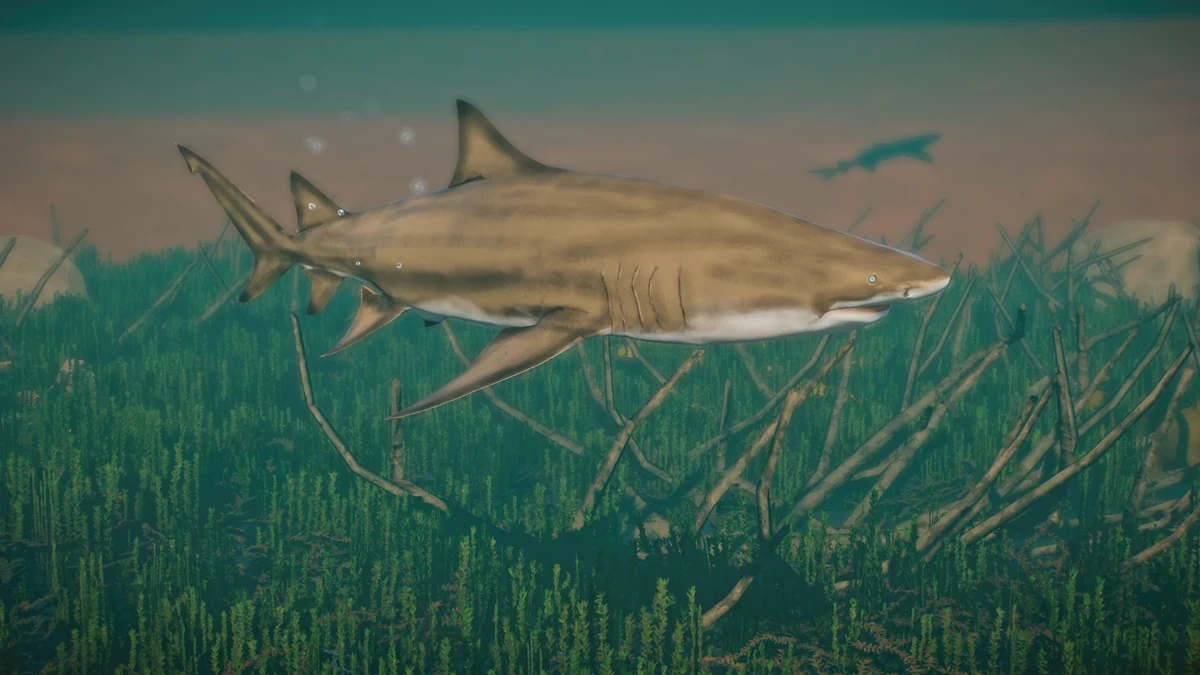 Lemon Shark (Buffzoo) | Planet Zoo Modding Library Wiki | Fandom