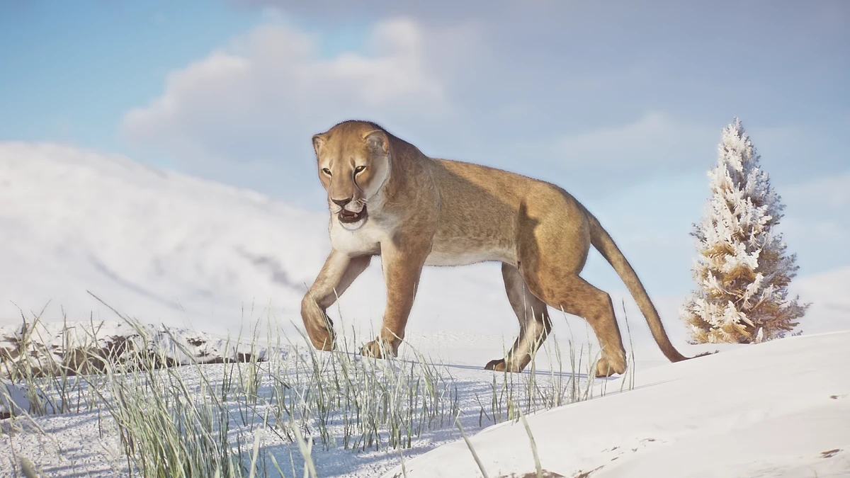 American Lion (Gabboi) | Planet Zoo Modding Library Wiki | Fandom