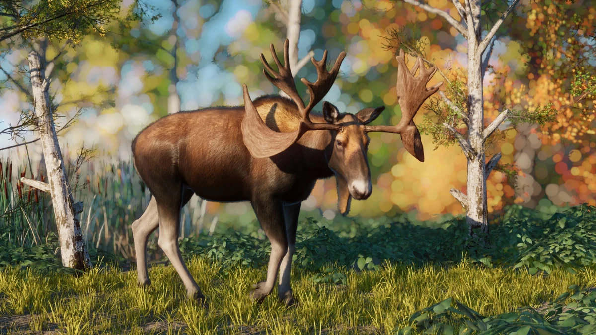 Stag-Moose (Narwhaler) | Planet Zoo Modding Library Wiki | Fandom