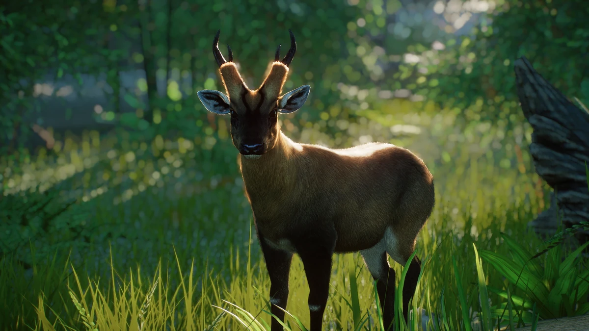 Giant Muntjac (Monsoon) | Planet Zoo Modding Library Wiki | Fandom
