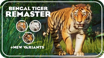 Bengal Tiger Remaster (Gabboi) | Planet Zoo Modding Library Wiki | Fandom