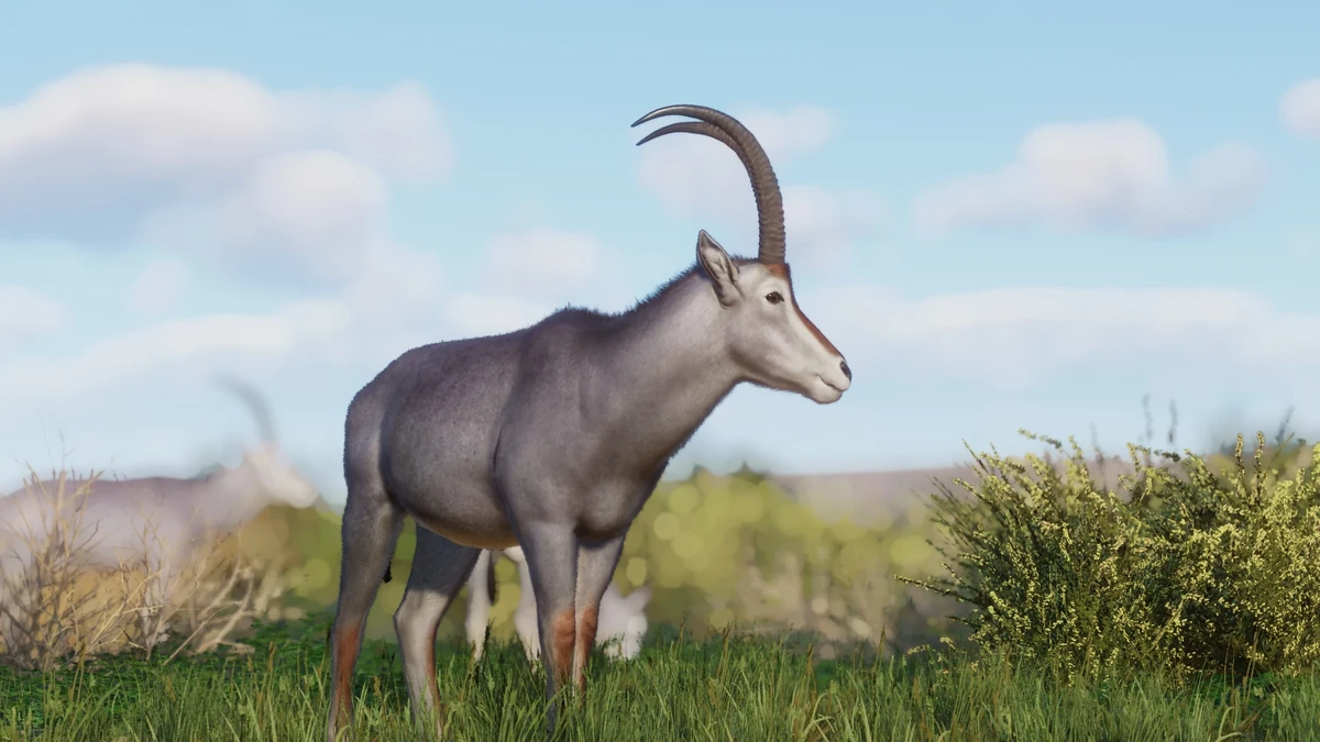 Bluebuck (Narwhaler) | Planet Zoo Modding Library Wiki | Fandom