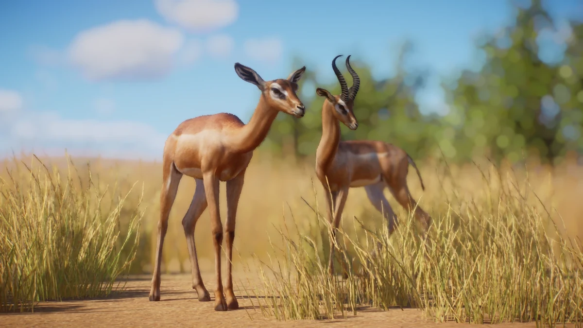 Gerenuk (Narwhaler) | Planet Zoo Modding Library Wiki | Fandom