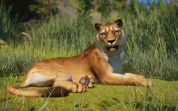 Steppe Lion (Gabboi) | Planet Zoo Modding Library Wiki | Fandom