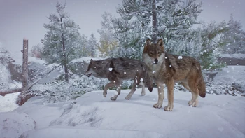 Eurasian Wolf (Havok1199) | Planet Zoo Modding Library Wiki | Fandom