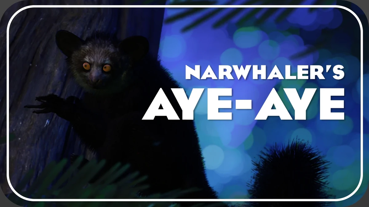 Aye-Aye (Narwhaler) | Planet Zoo Modding Library Wiki | Fandom