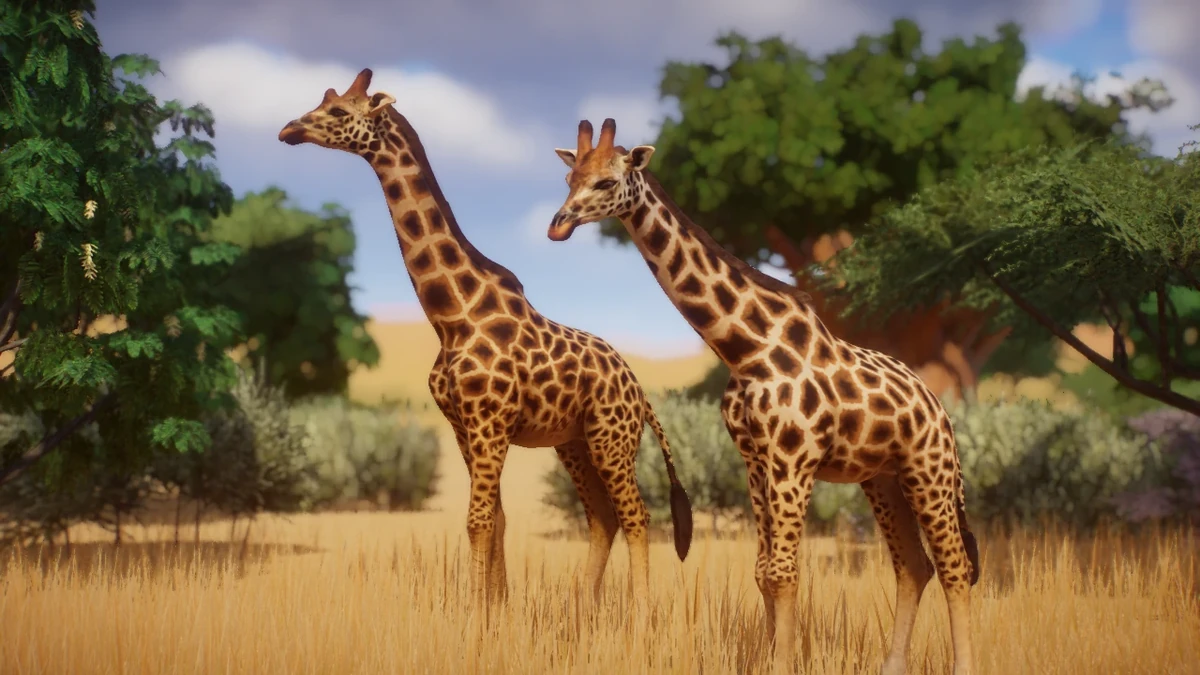 Rothschild's Giraffe (Narwhaler) | Planet Zoo Modding Library Wiki | Fandom