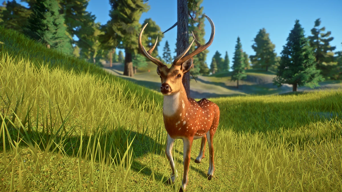 Chital (Gabboi) | Planet Zoo Modding Library Wiki | Fandom