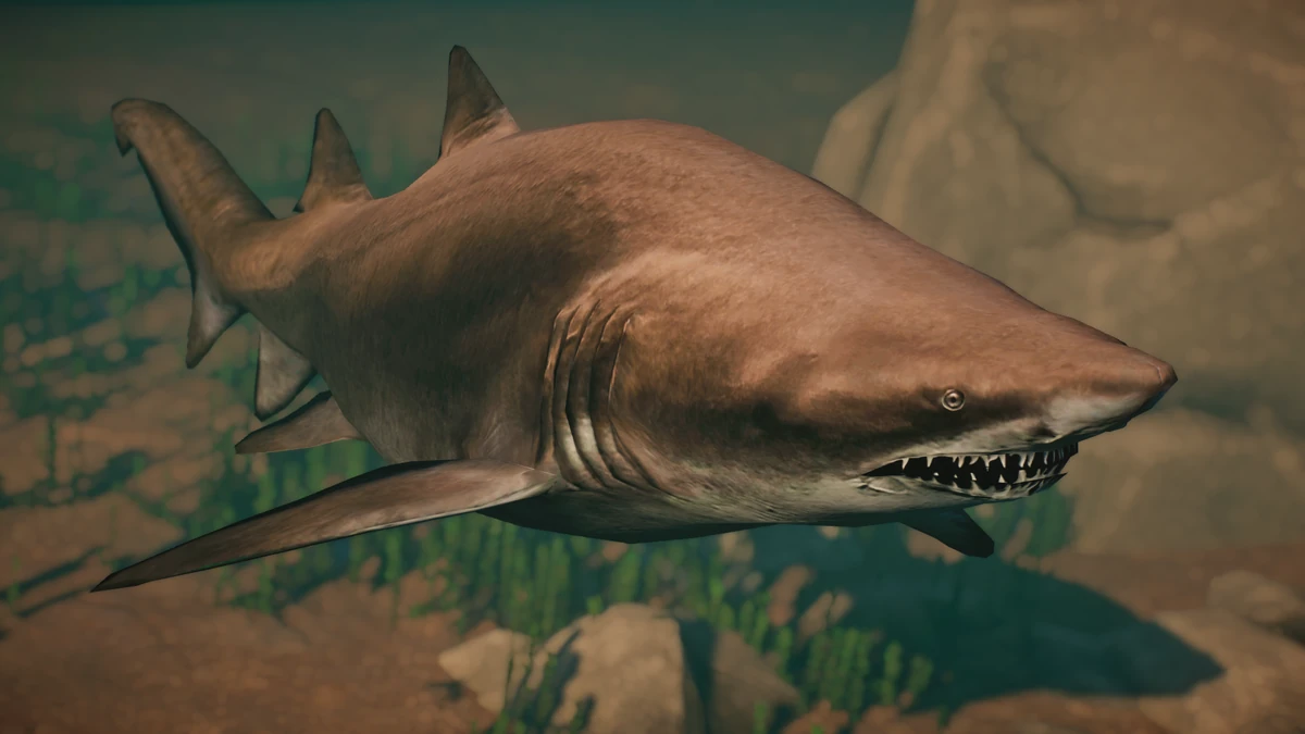 Sand Tiger Shark (Buffzoo) | Planet Zoo Modding Library Wiki | Fandom