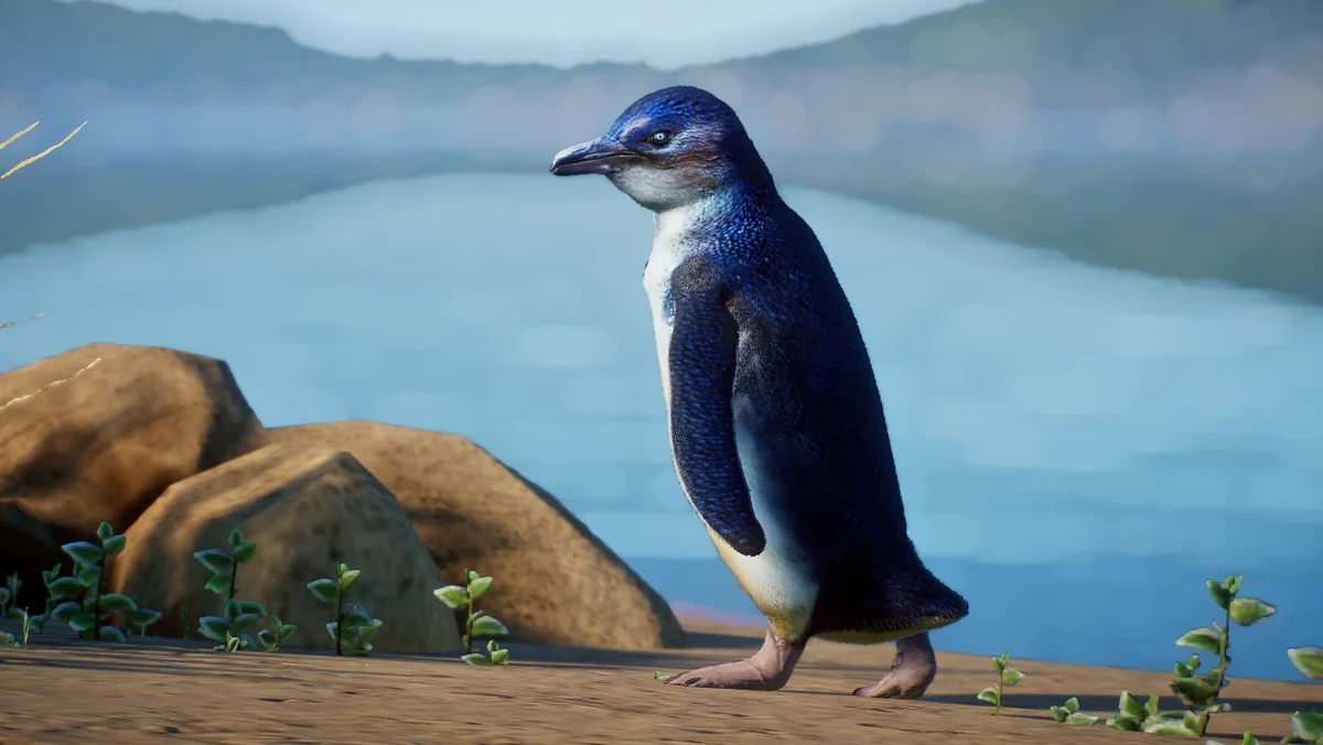 Little Blue Penguin (MegaGamingRex) | Planet Zoo Modding Library Wiki | Fandom