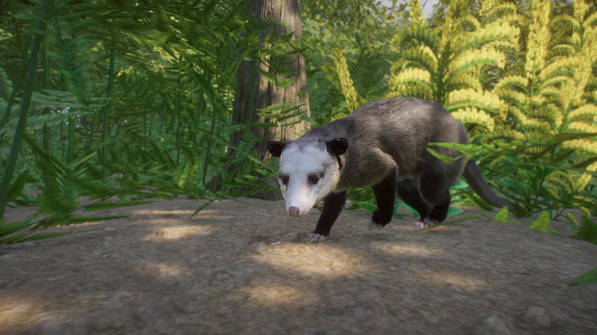 Virginia Opossum (MegaGamingRex) | Planet Zoo Modding Library Wiki | Fandom