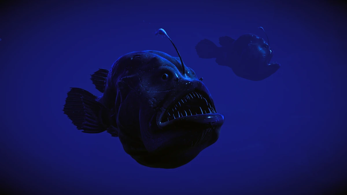 Atlantic Footballfish (Buffzoo) | Planet Zoo Modding Library Wiki | Fandom
