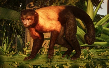 Tufted Capuchin Monkey (LeafProductions) | Planet Zoo Modding Library ...