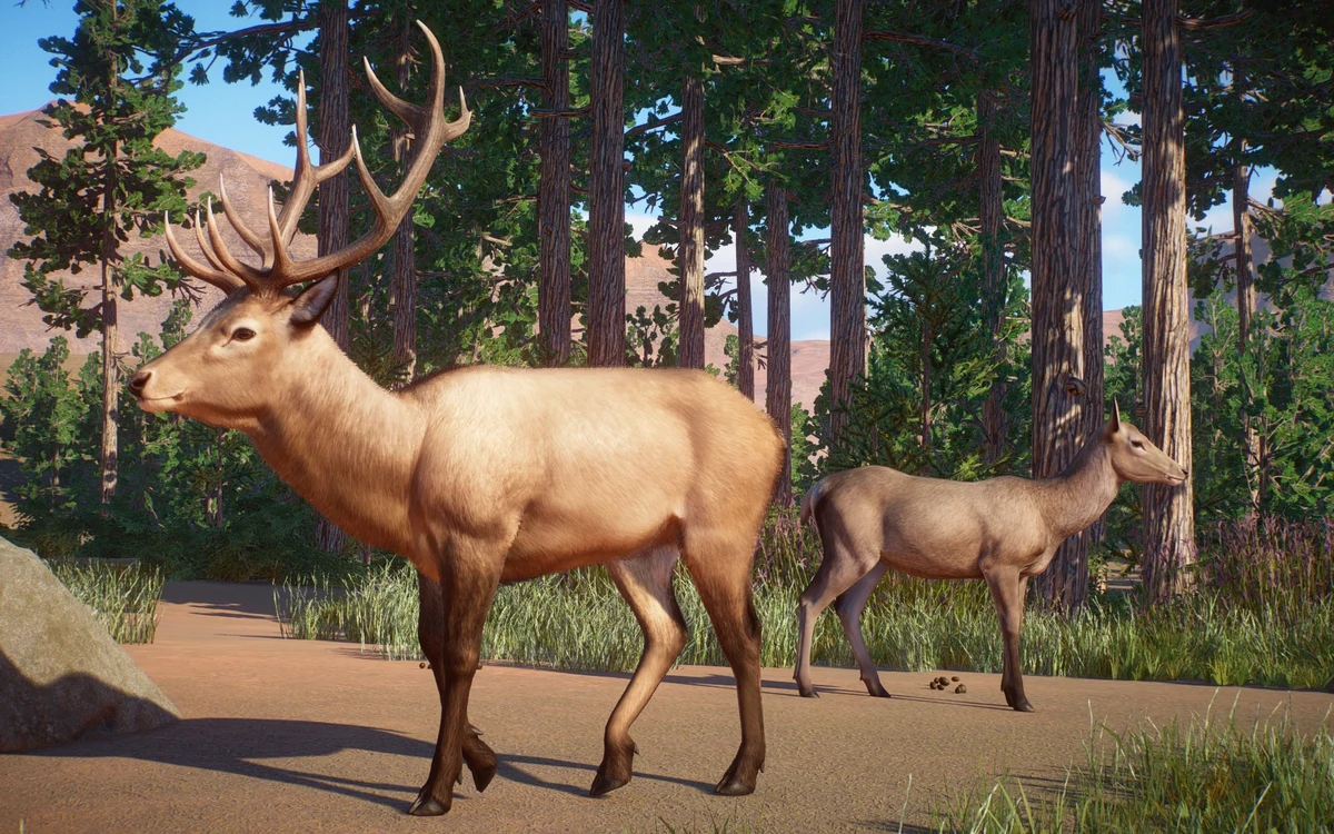 Bactrian Deer (Gabboi) | Planet Zoo Modding Library Wiki | Fandom