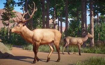 Bactrian Deer (Gabboi) | Planet Zoo Modding Library Wiki | Fandom