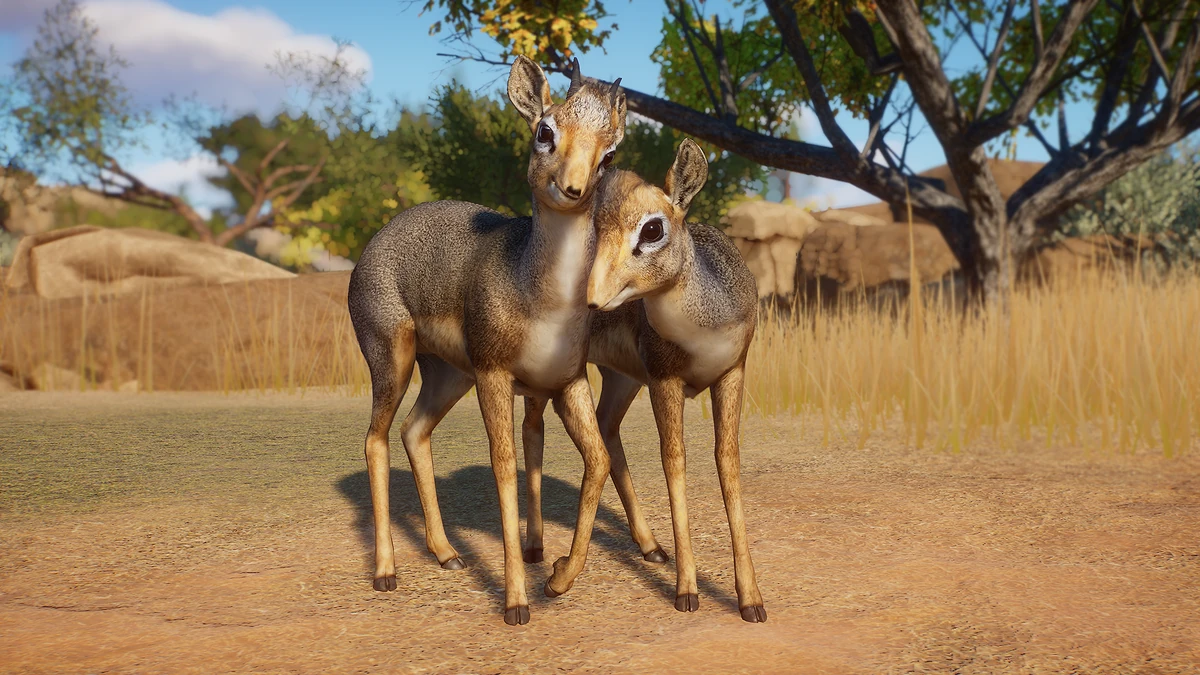 Kirk's Dik-Dik (Bubblywums) | Planet Zoo Modding Library Wiki | Fandom