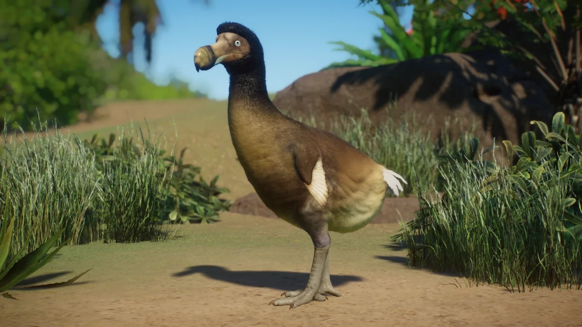Dodo (Narwhaler) | Planet Zoo Modding Library Wiki | Fandom