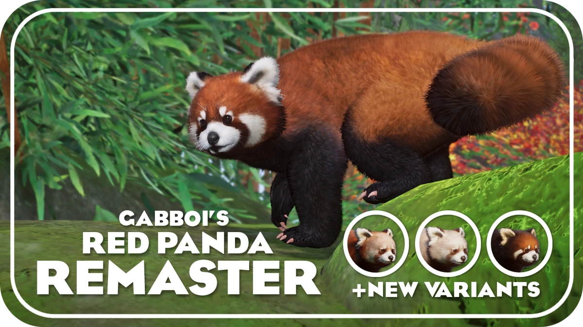 Red Panda Remaster (Gabboi) | Planet Zoo Modding Library Wiki | Fandom