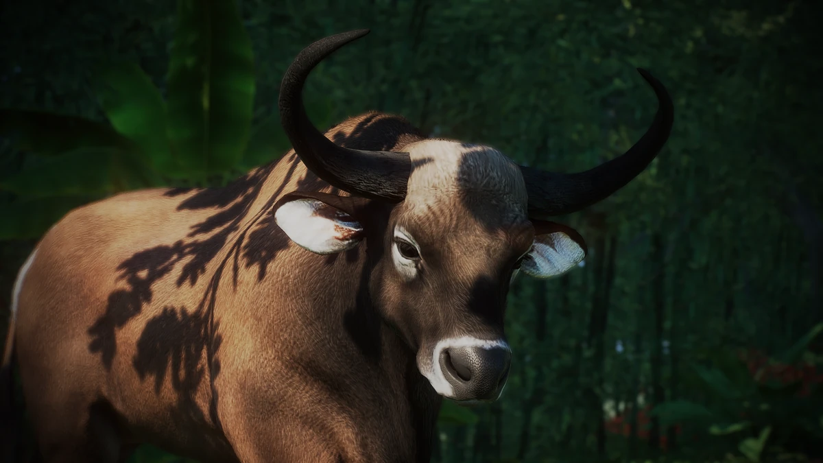 Indochinese Banteng (Monsoon) | Planet Zoo Modding Library Wiki | Fandom