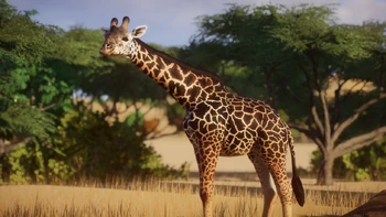 Masai Giraffe (Narwhaler) | Planet Zoo Modding Library Wiki | Fandom