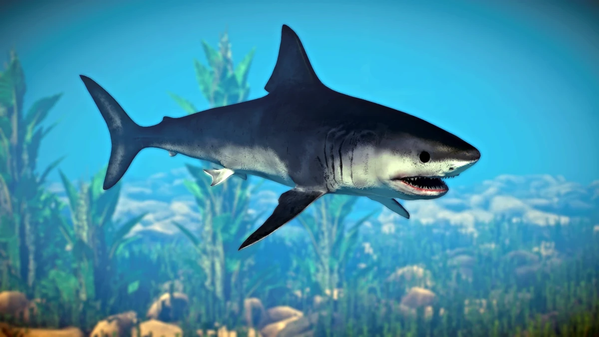 Porbeagle Shark (Buffzoo) | Planet Zoo Modding Library Wiki | Fandom