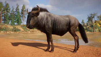 Blue Wildebeest (Bubblywums) | Planet Zoo Modding Library Wiki | Fandom