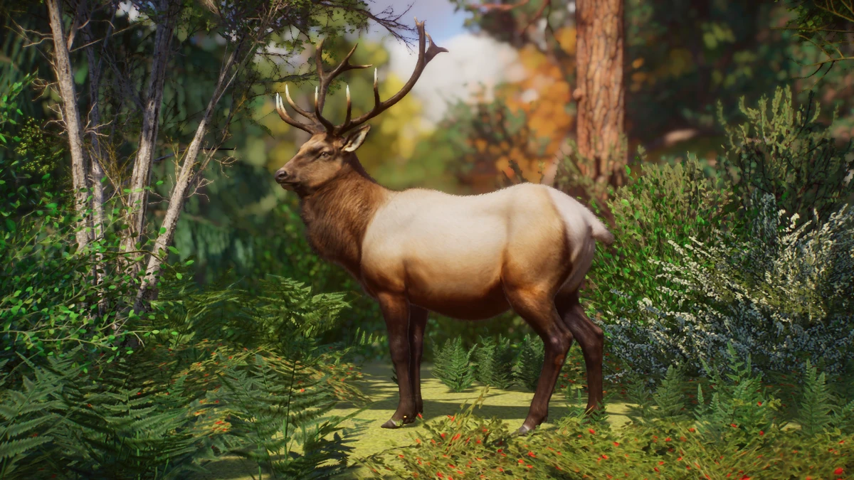 Roosevelt Elk (Narwhaler) | Planet Zoo Modding Library Wiki | Fandom